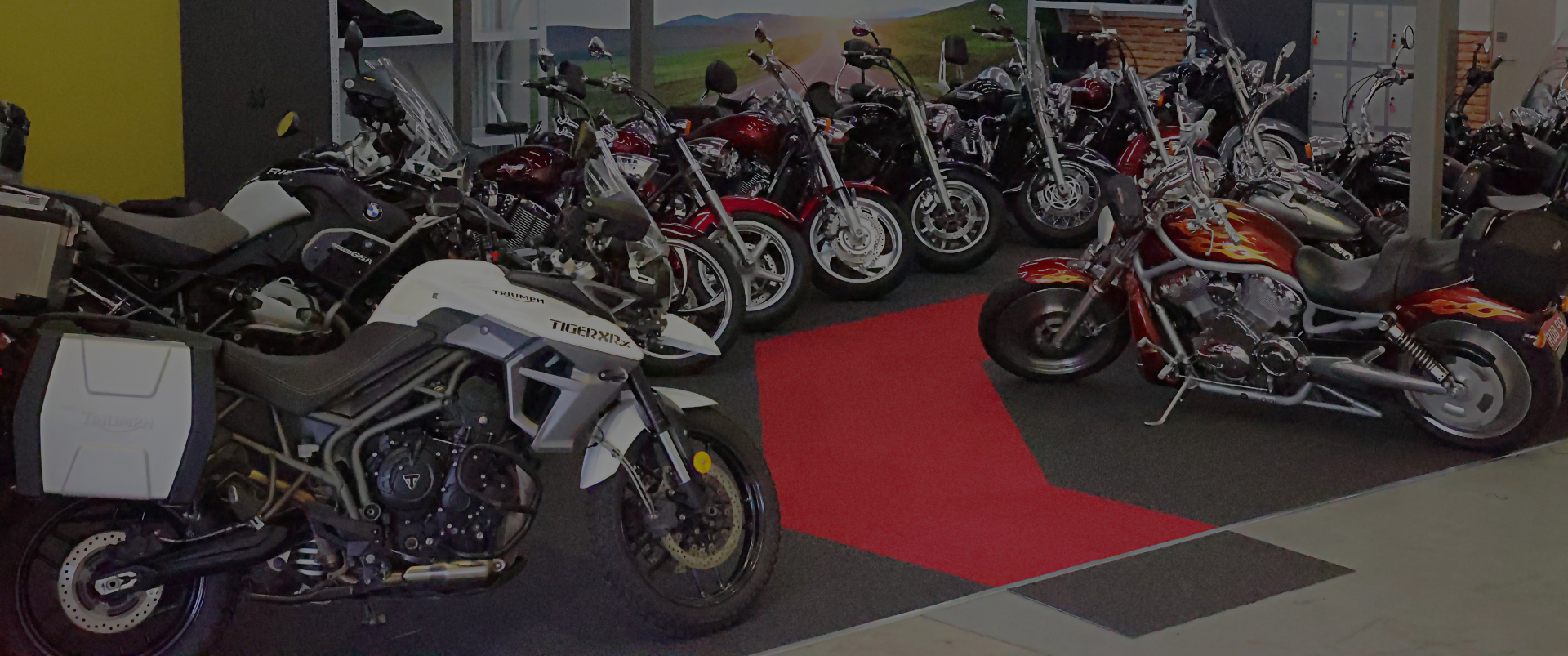 Our Bikes | Rent N Ride